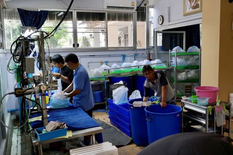 Packing house – Al-Aquarium.com
